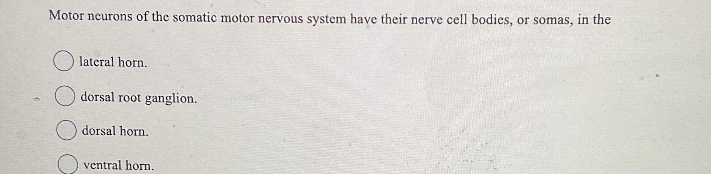 Solved Motor neurons of the somatic motor nervous system | Chegg.com
