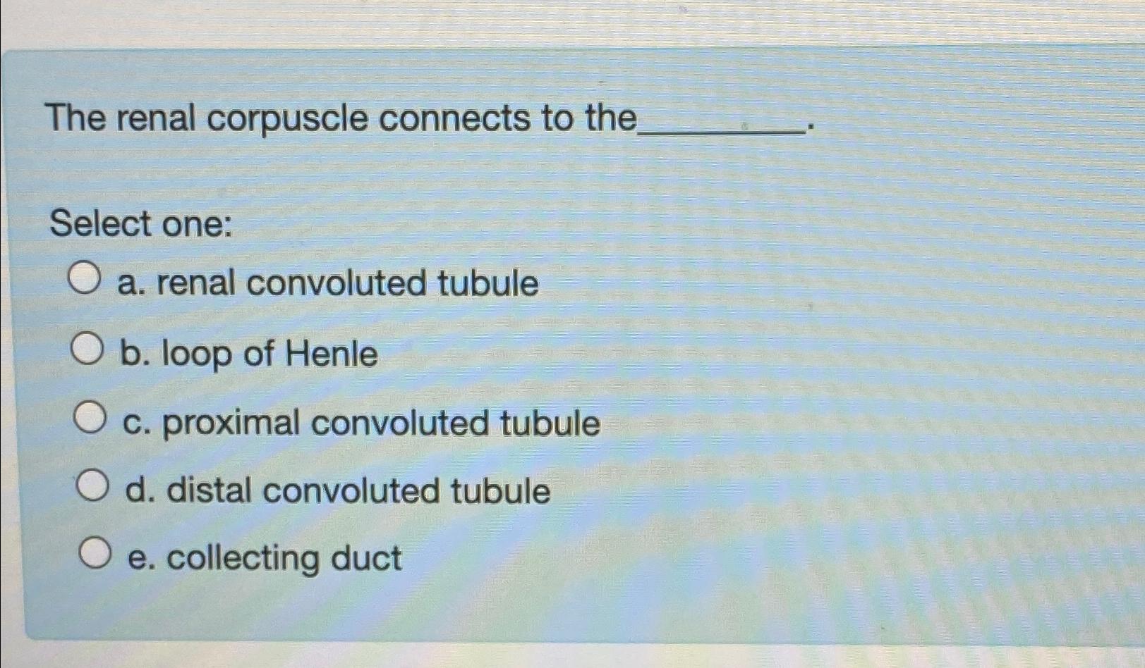 Solved The renal corpuscle connects to theSelect one:a. | Chegg.com