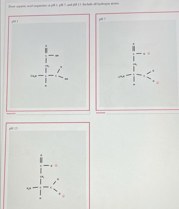 Solved Draw aspartic acid (aspartate) at pH 1. pH 7. and pH | Chegg.com