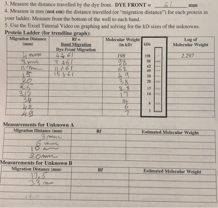 Solved Measurements for Unknown A \begin{tabular}{|c|c|c|} | Chegg.com