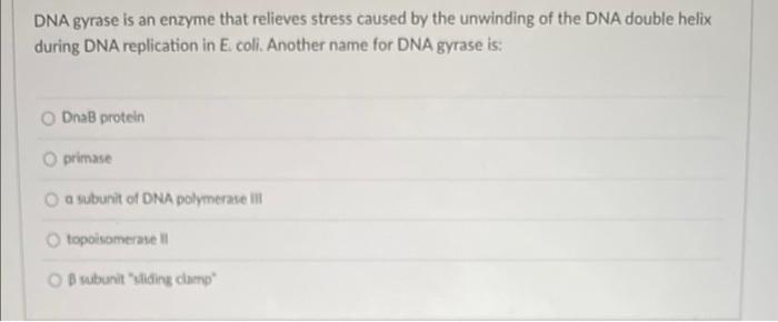 Solved DNA gyrase is an enzyme that relieves stress caused | Chegg.com