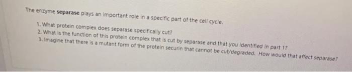 Solved The enzyme separase plays an important role in a | Chegg.com