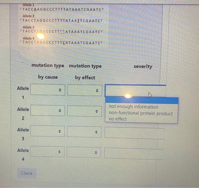 Solved Below are the wild-type sequence of a gene, as well | Chegg.com