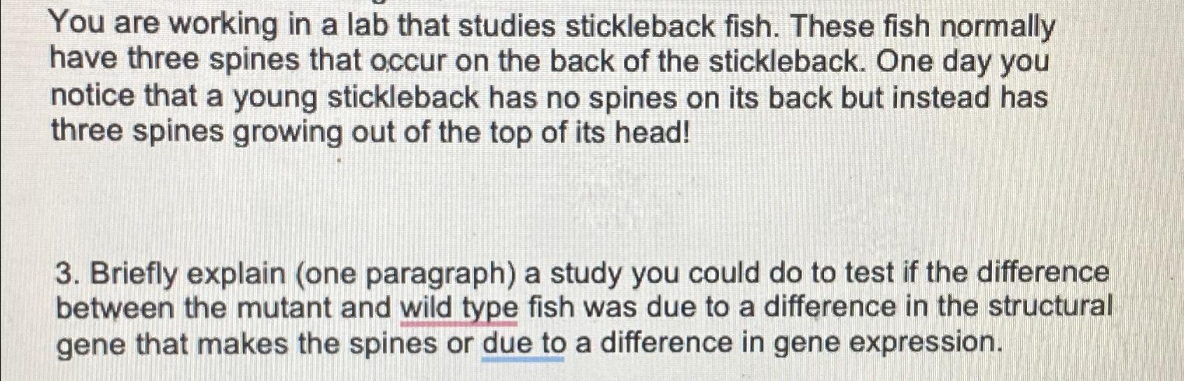 Solved You are working in a lab that studies stickleback | Chegg.com