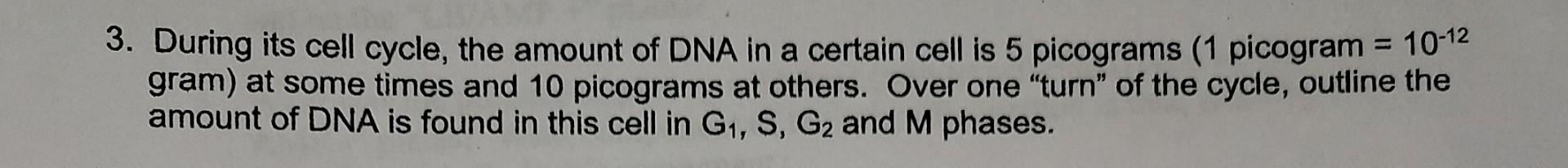 Solved 3. During its cell cycle, the amount of DNA in a | Chegg.com