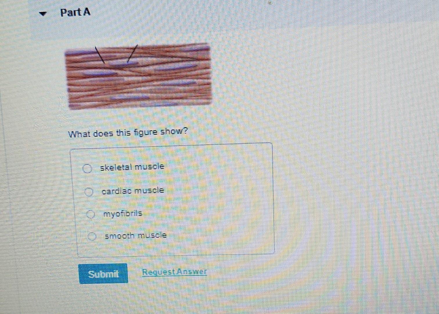 what does this figure show? | Chegg.com
