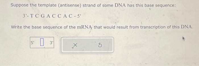 Solved Suppose the template (antisense) strand of some DNA | Chegg.com