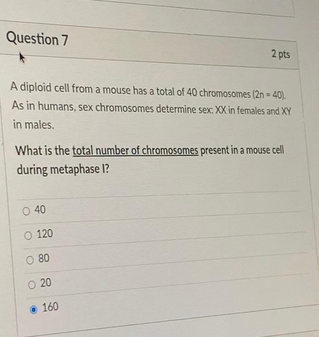 Solved Question 7 2 pts A diploid cell from a mouse has a | Chegg.com