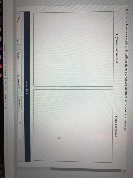 Identify each given example as describing either a | Chegg.com