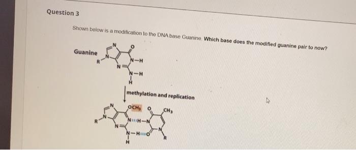 Solved Question 3 Shown below is a modification to the DNA | Chegg.com