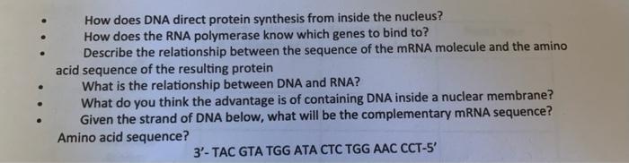 Solved How does DNA direct protein synthesis from inside the | Chegg.com