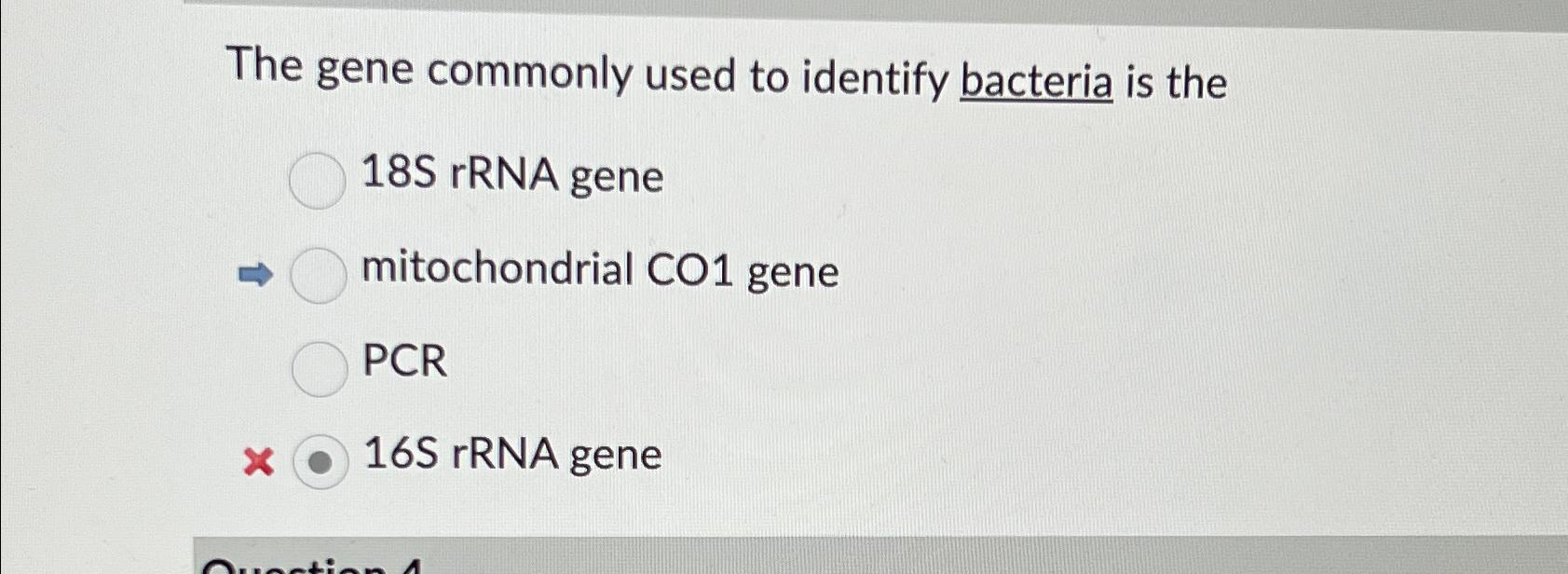 Solved The gene commonly used to identify bacteria is the18S | Chegg.com