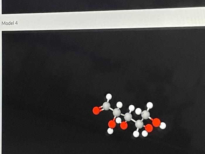 Solved • For Models 2-4 MODEL 2 Classification: Fischer | Chegg.com
