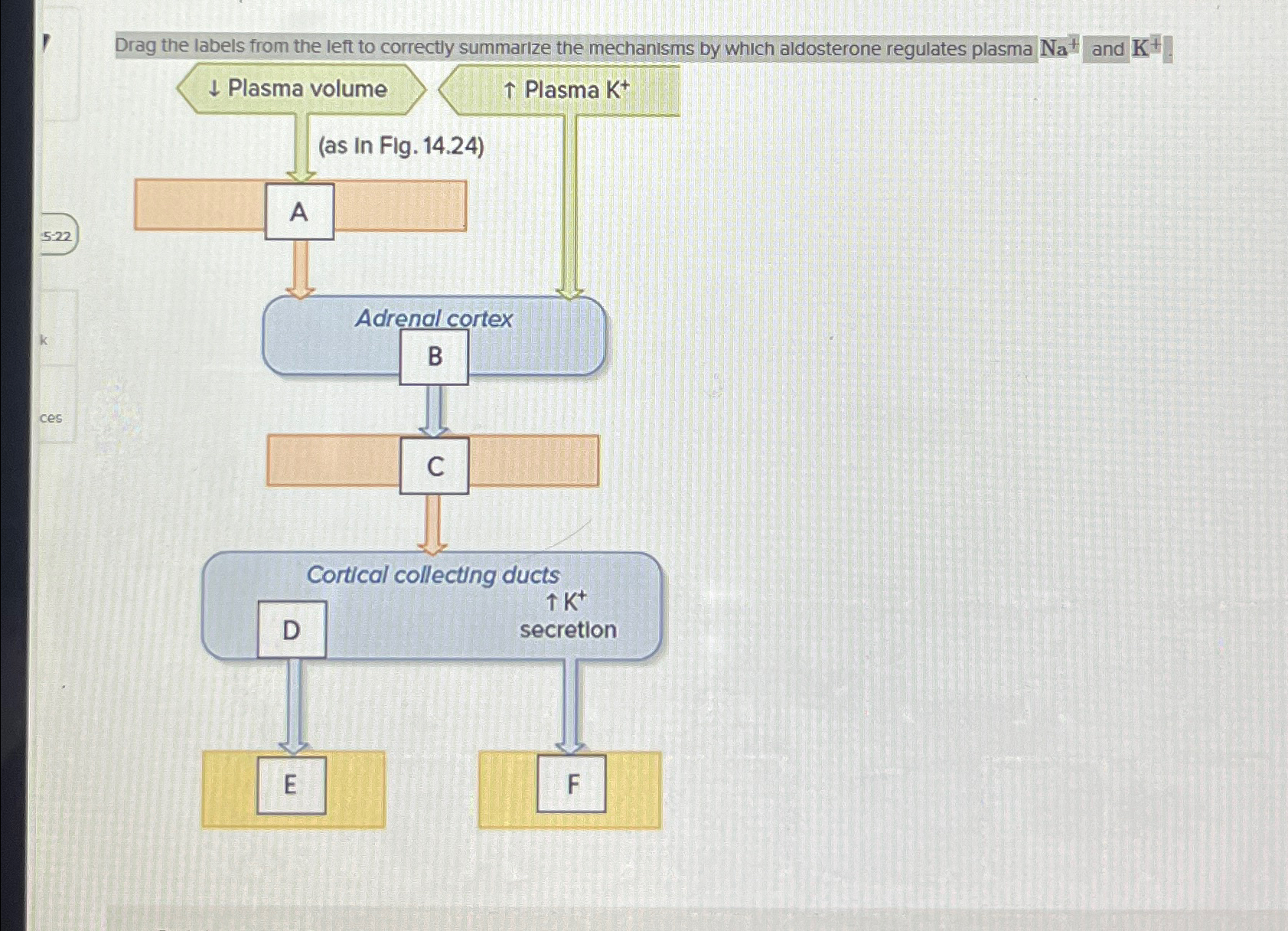 Solved Drag the labels from the left to correctly summarize | Chegg.com