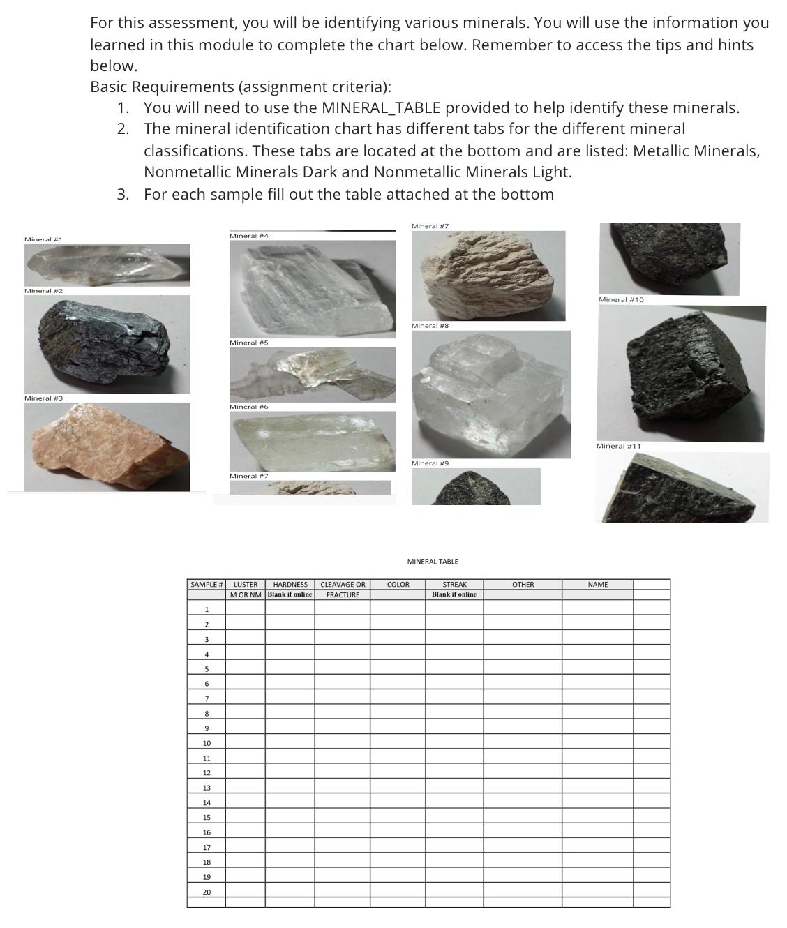 Solved For this assessment, you will be identifying various | Chegg.com