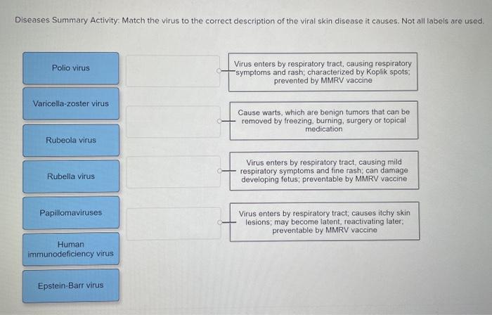 Solved 22 Please classify the statements as describing | Chegg.com