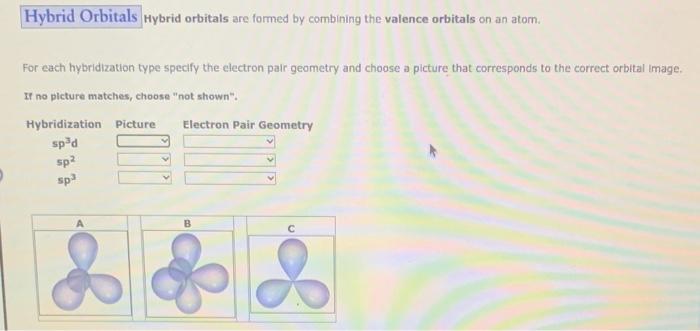 Solved Hybrid orbitals are formed by combining the valence | Chegg.com