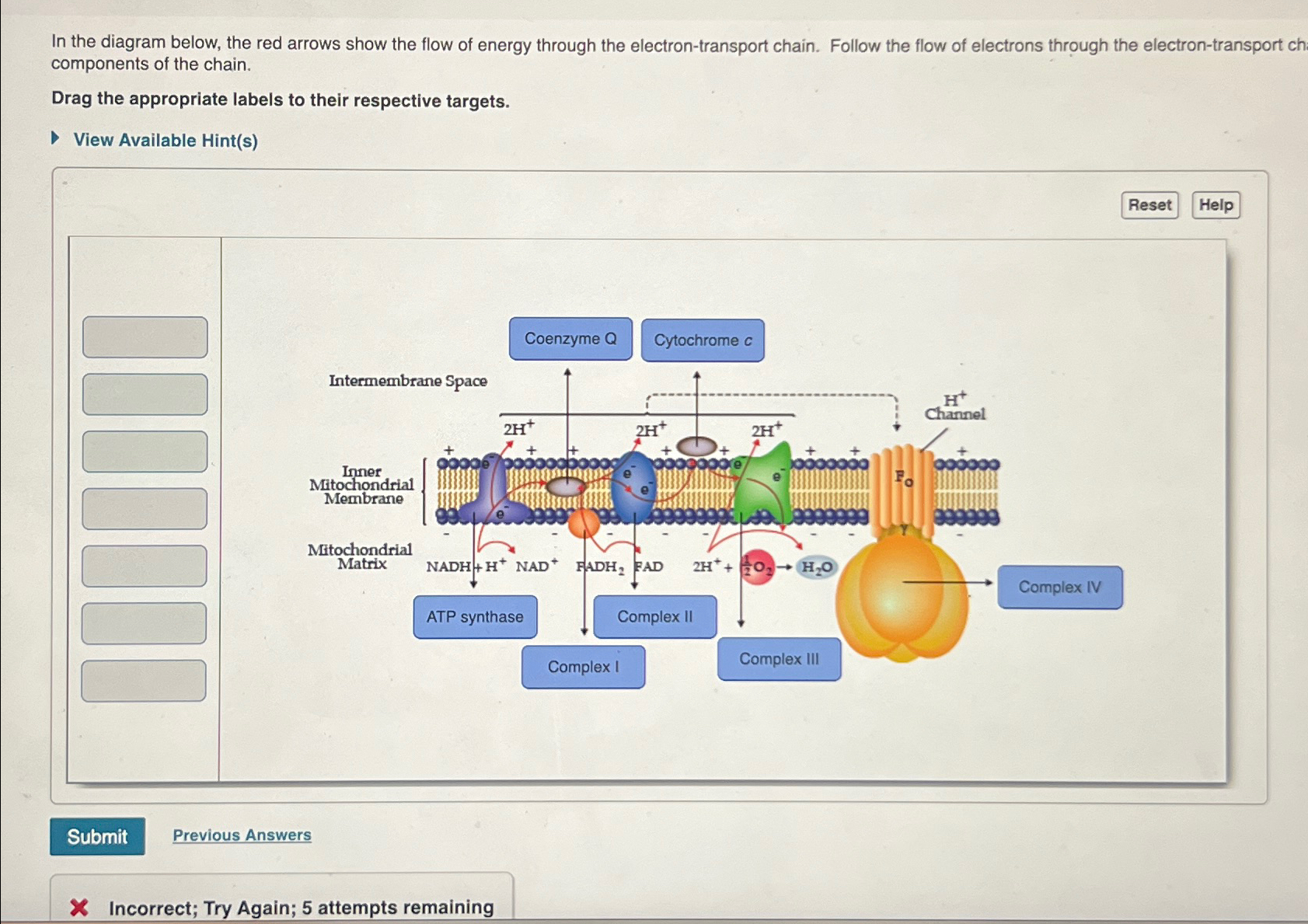 Solved In the diagram below, the red arrows show the flow of | Chegg.com