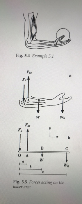 Solved Problem 5.1 Consider a person holding an object in | Chegg.com