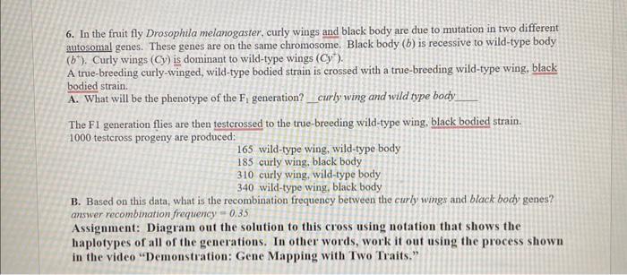 Solved 6. In the fruit fly Drosophila melanogaster, curly | Chegg.com