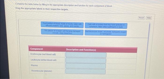 Solved Complete The Table Below By Filling In The Chegg