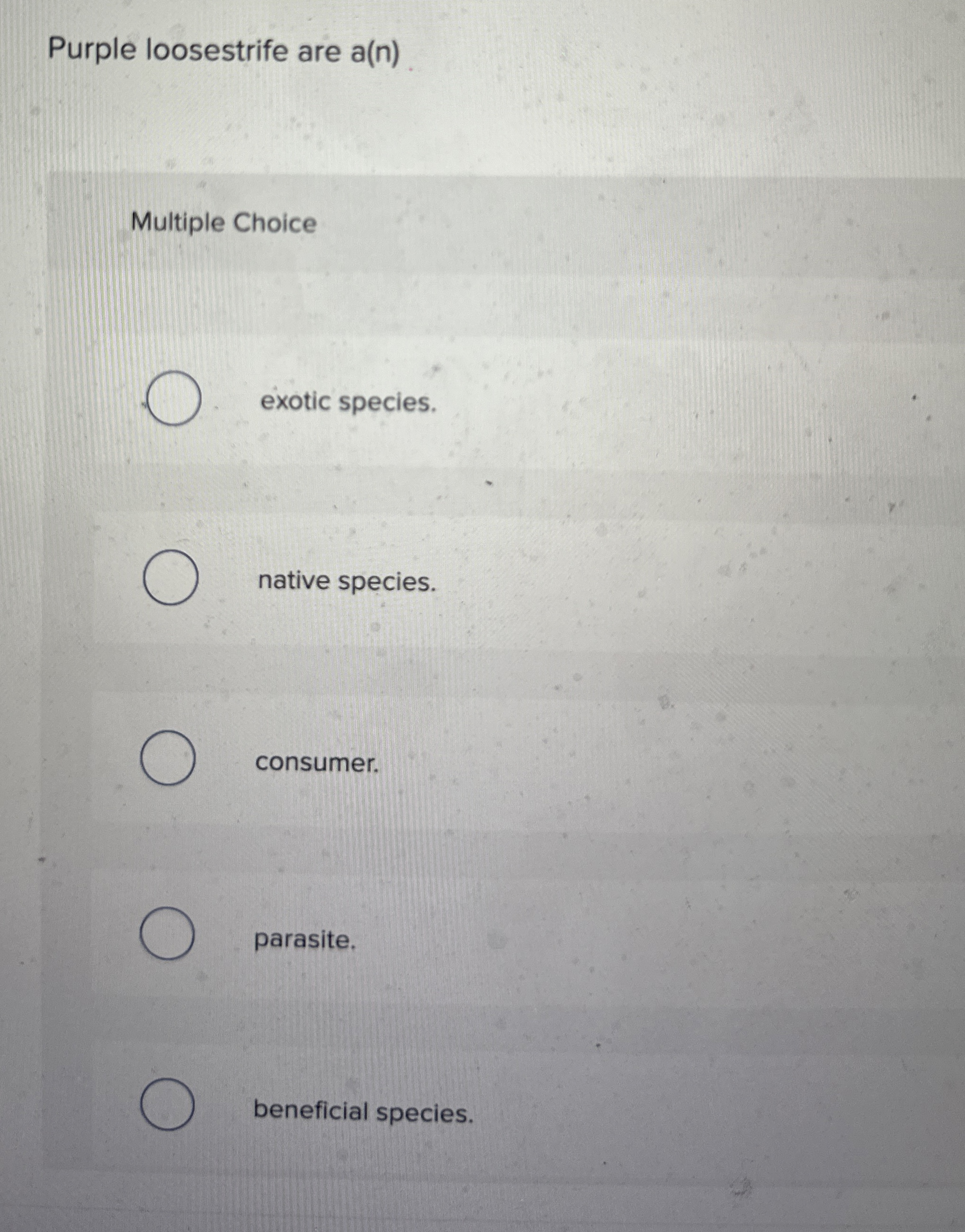 Solved Purple loosestrife are a(n)Multiple Choiceexotic | Chegg.com