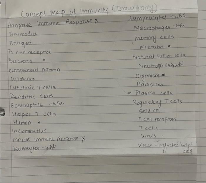 Solved Concept Map of immunty (Draw only) Adaptive Immune | Chegg.com