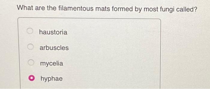 Solved What are the filamentous mats formed by most fungi | Chegg.com