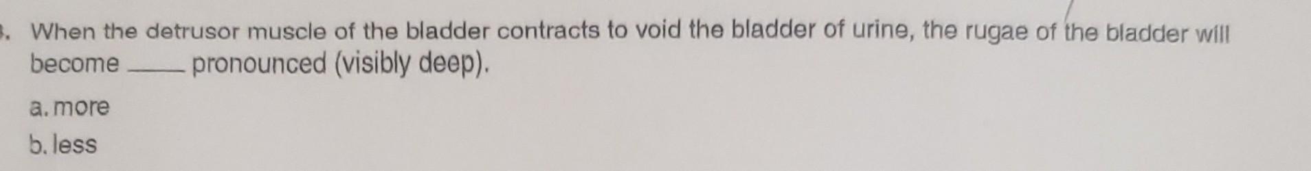 Solved When the detrusor muscle of the bladder contracts to | Chegg.com