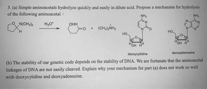 Solved 5. (a) Simple aminoacetals hydrolyze quickly and | Chegg.com