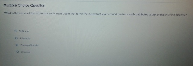 Solved Multiple Cholce QuestionWhat is the name of the | Chegg.com