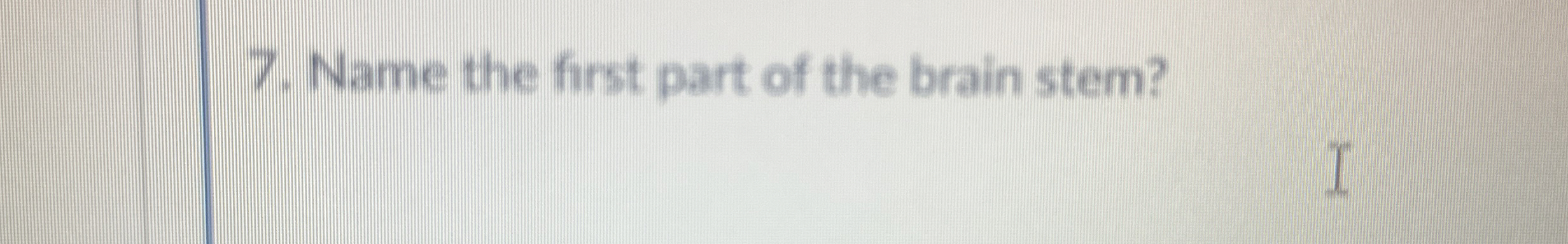 Solved Name the first part of the brain stem? | Chegg.com