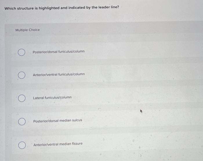 Solved 8.-6 OL Which structure is highlighted and | Chegg.com
