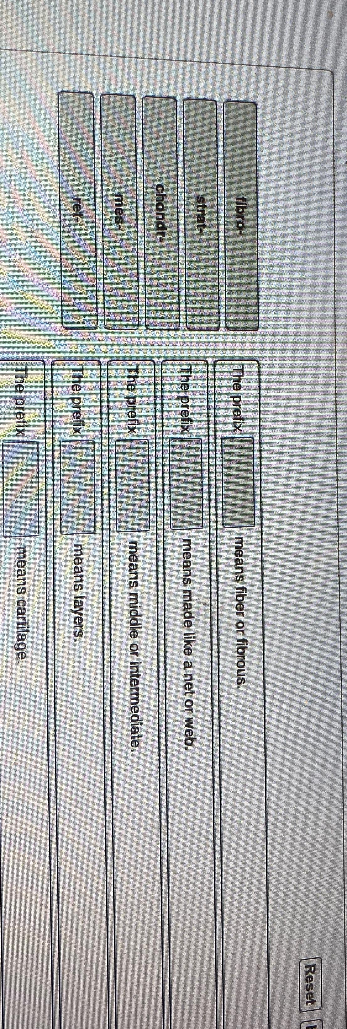Solved ResetThe prefix , ﻿means fiber or fibrous.The prefix | Chegg.com