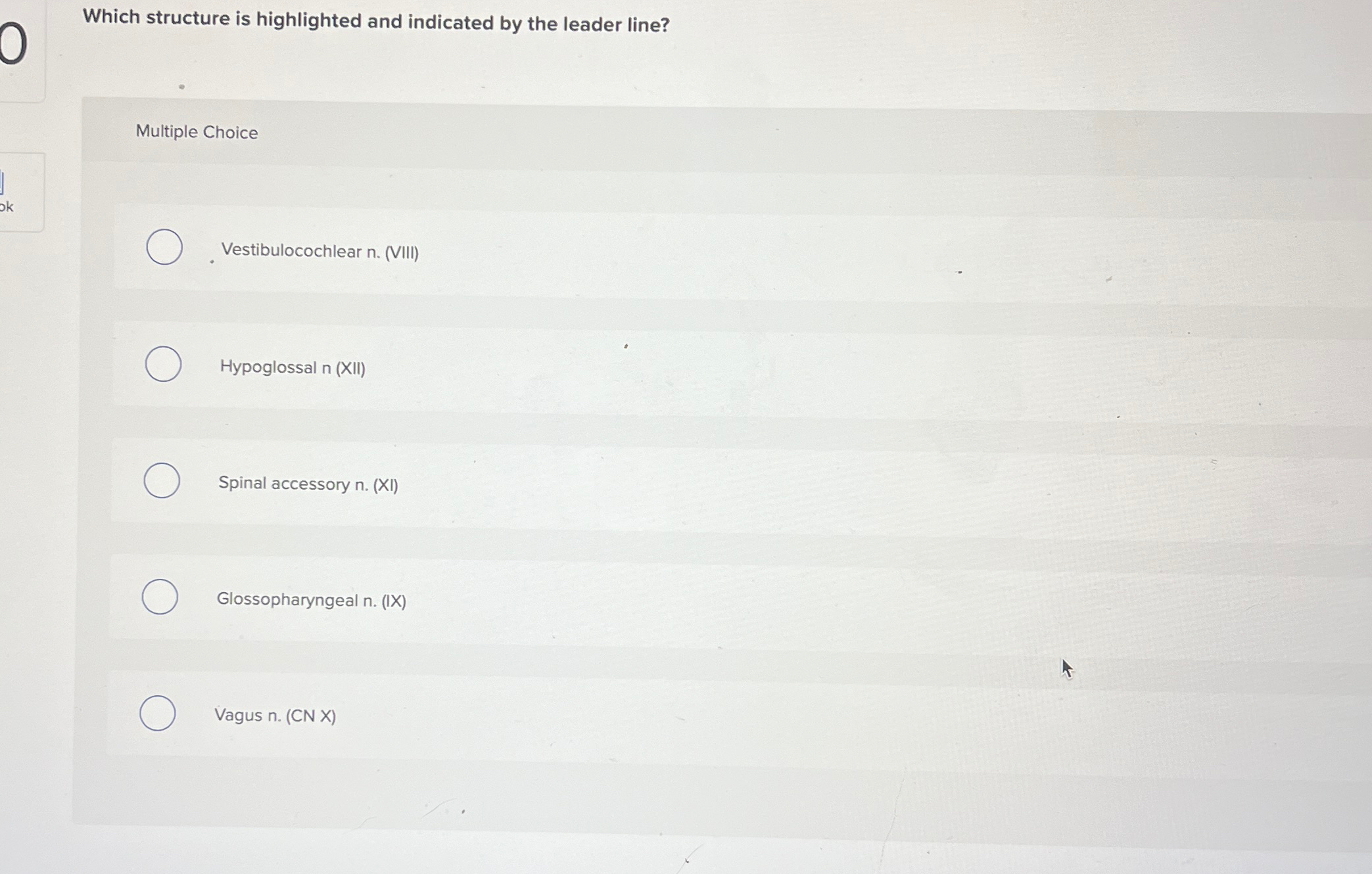 Solved Which structure is highlighted and indicated by the | Chegg.com
