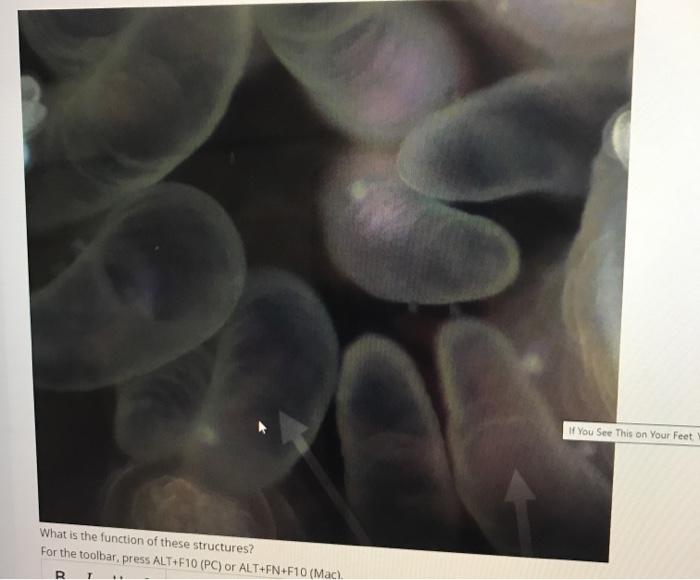 Solved Question Completion Status: incomplete complete | Chegg.com