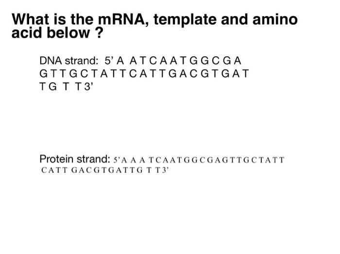 Solved What is the mRNA, template and amino cid below? DNA | Chegg.com