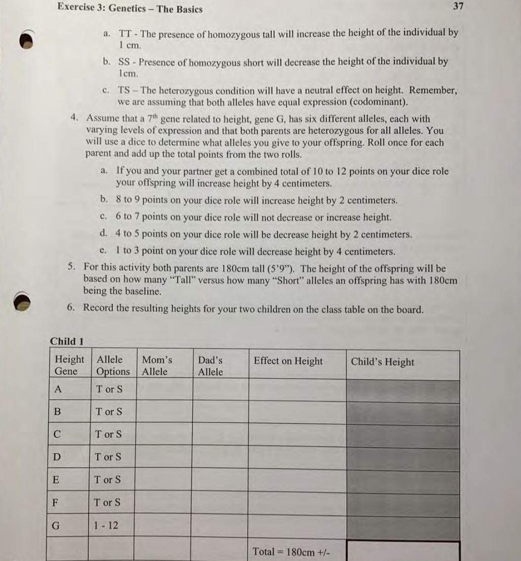 Solved Exercise 3: Genetics - ﻿The Basics37a. ﻿TT - ﻿The | Chegg.com