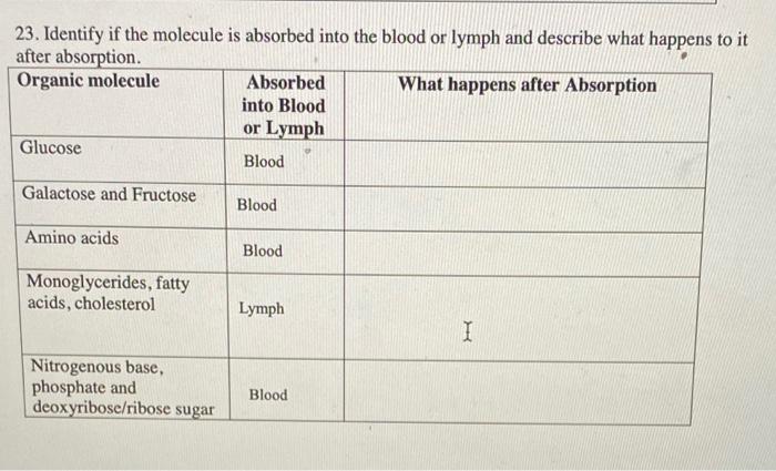 Solved 23. Identify if the molecule is absorbed into the | Chegg.com