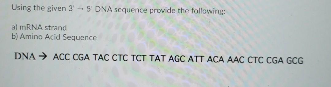 Solved Using the given 3' - 5' DNA sequence provide the | Chegg.com
