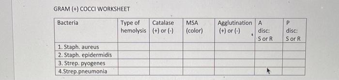 Solved GRAM (+) COCCI WORKSHEET Bacteria Type of Catalase | Chegg.com