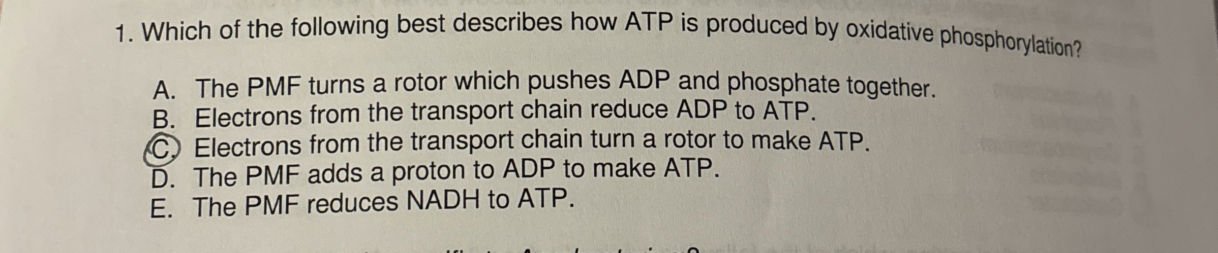 Solved Which of the following best describes how ATP is | Chegg.com