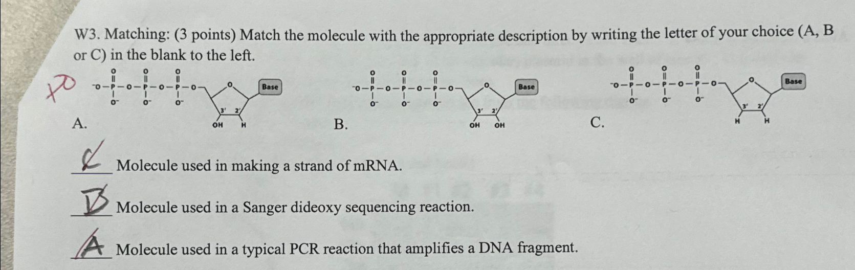 Solved W3. ﻿Matching: (3 ﻿points) ﻿Match the molecule with | Chegg.com