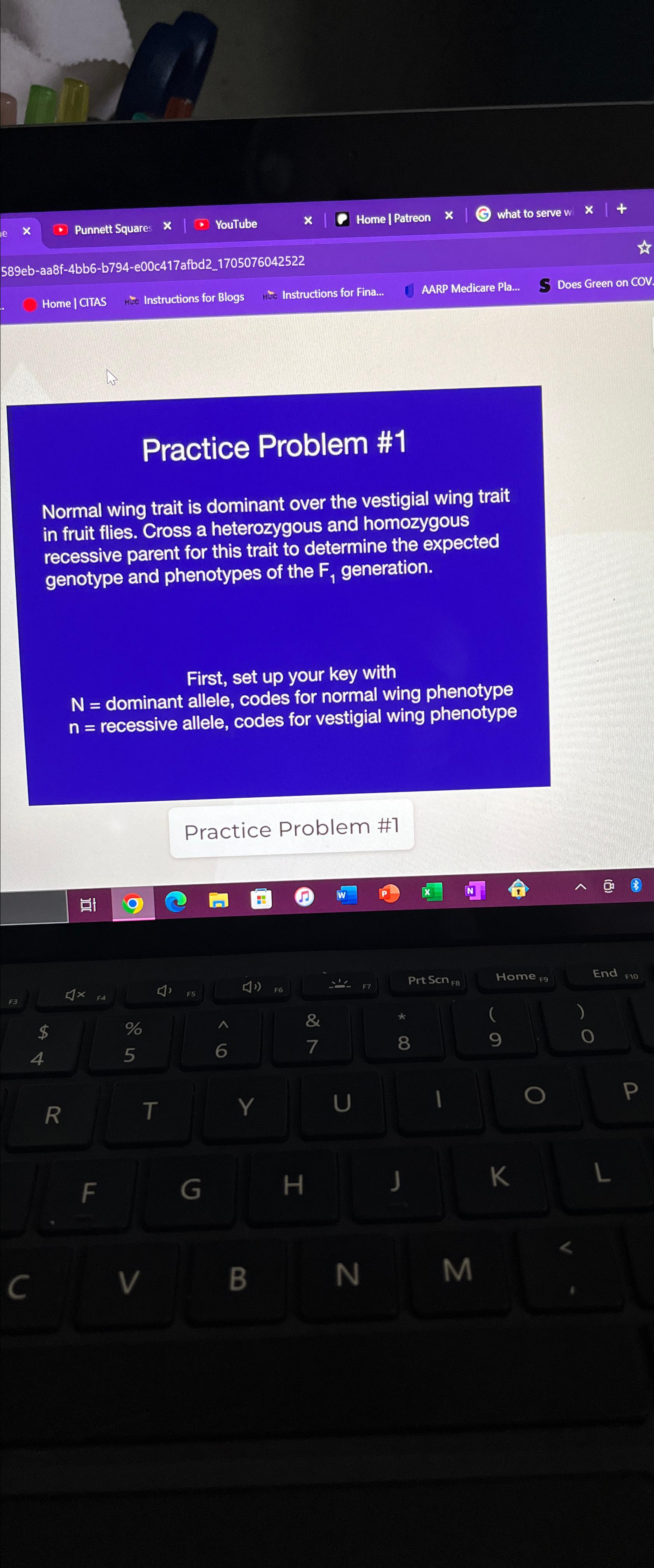 Solved Practice Problem #1Normal wing trait is dominant over | Chegg.com
