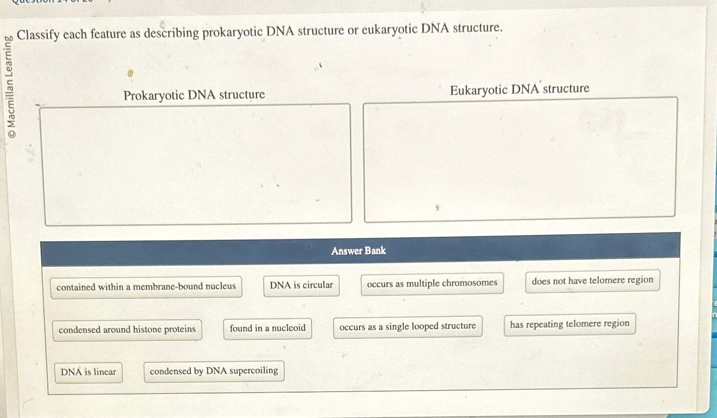 Solved an Classify each feature as describing prokaryotic | Chegg.com