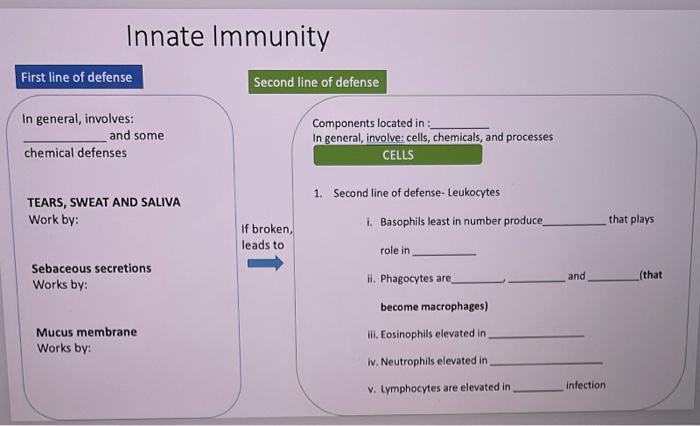 Solved Innate Immunity First line of defense Second line of | Chegg.com