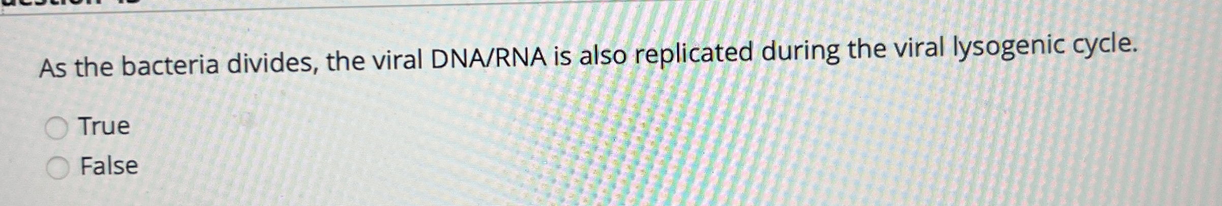 Solved As the bacteria divides, the viral DNA/RNA is also | Chegg.com