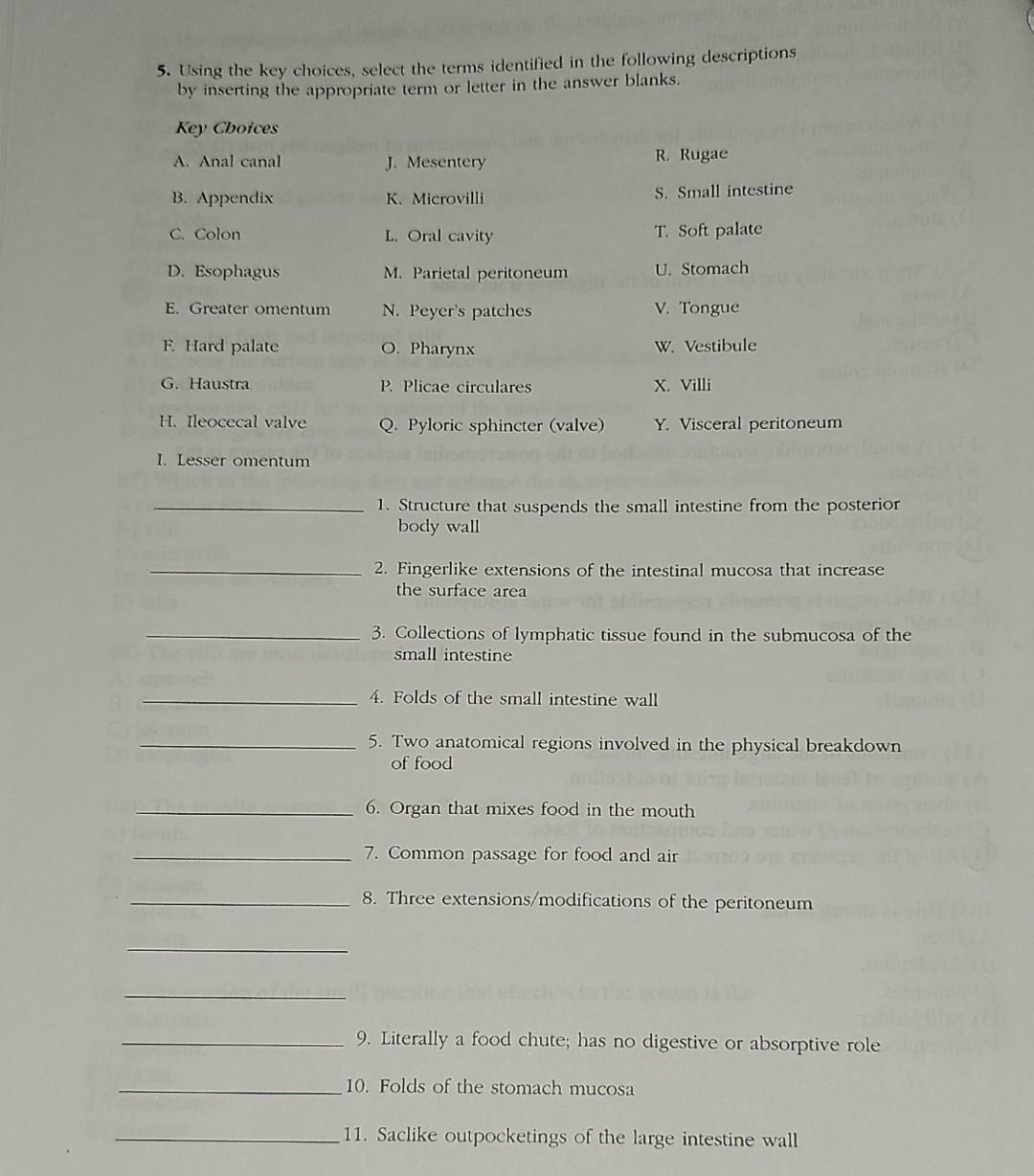 Solved 5. Using the key choices, select the terms identified | Chegg.com