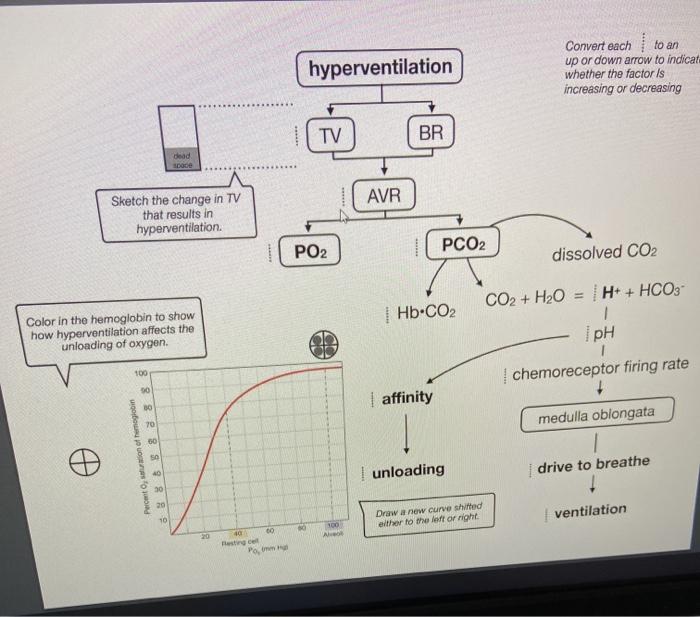 Solved compliance hypoventilation Convert each to an up or | Chegg.com
