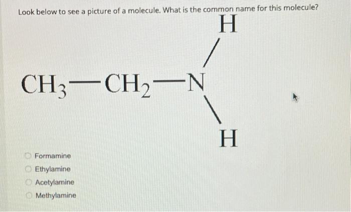Solved Look below to see a picture of a molecule. What is | Chegg.com